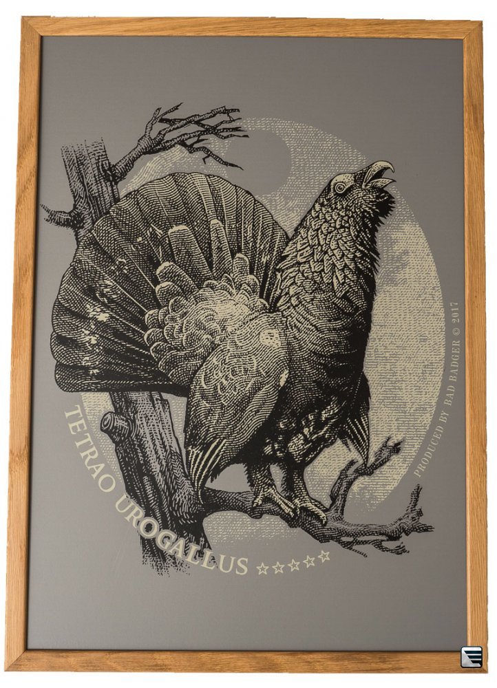 Obraz - Tetřev hlušec :: MARS & ARMS